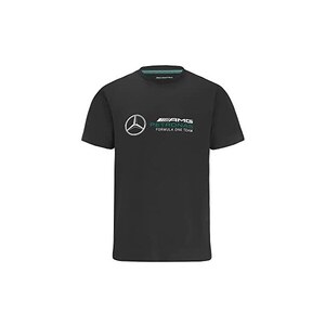 MERCEDES AMG PETRONAS Formula One Team – Collezione ufficiale Formula 1 ...