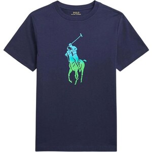 Polo Ralph Lauren T-shirt Bambino 2-4 anni con cavallo multicolore ...