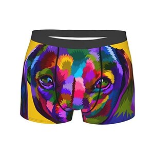 351 Mutande Uomo Bassotto Cane sulla Pop Art Geometrica Mutande Lavoro ...