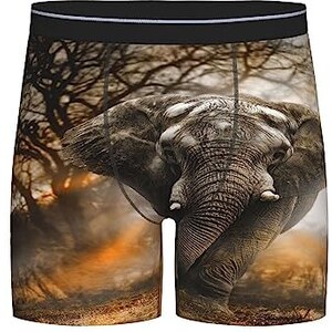 ASEELO Boxer da uomo a gamba lunga con freccia e piume, comodi ...