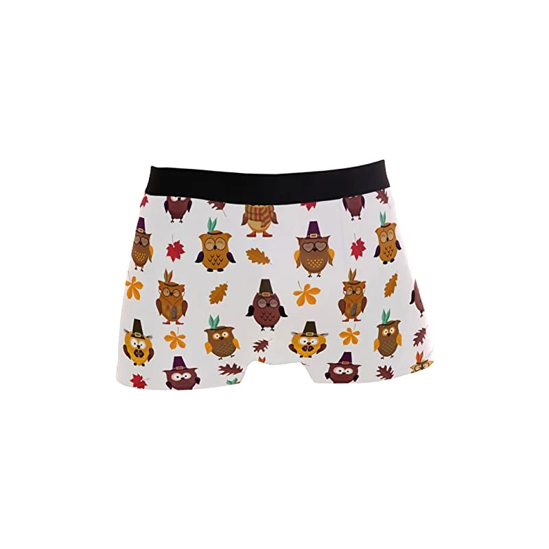 ZZKKO Boxer da uomo con foglie d'acero autunnali e gufi - Stileo.it