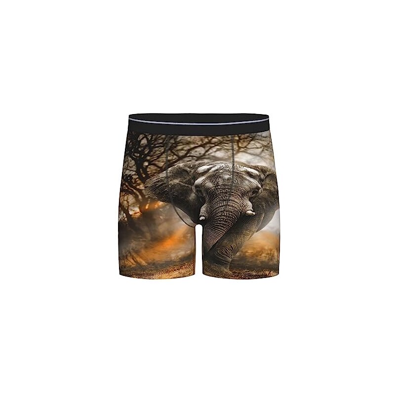 ASEELO Boxer da uomo a gamba lunga con freccia e piume, comodi ...