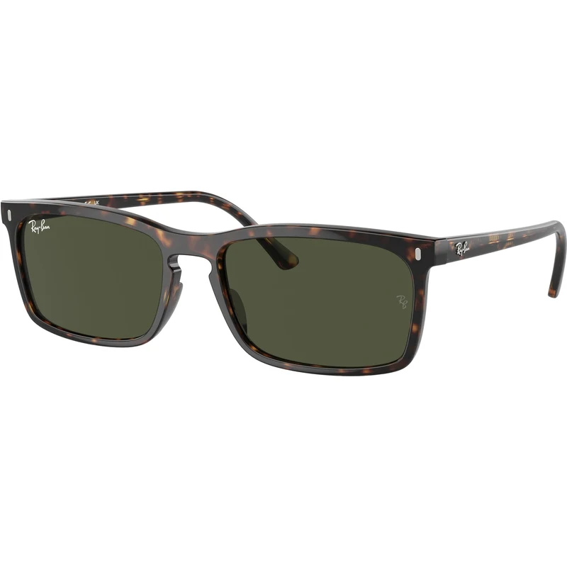 Ray - Ban Unisex RB4435 902/31 Occhiali da sole Acetato Tartaruga Verde ...